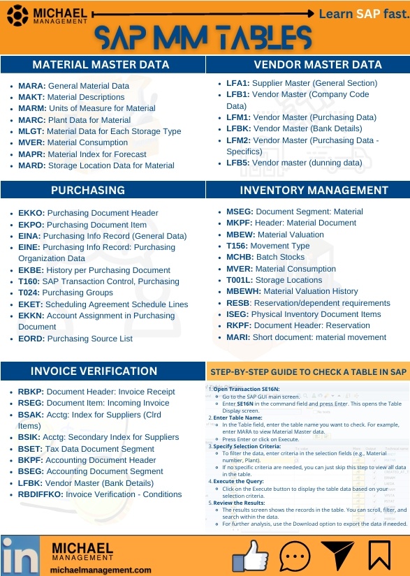 Empower your SAP Project with our Activate Methodology Infograhpic